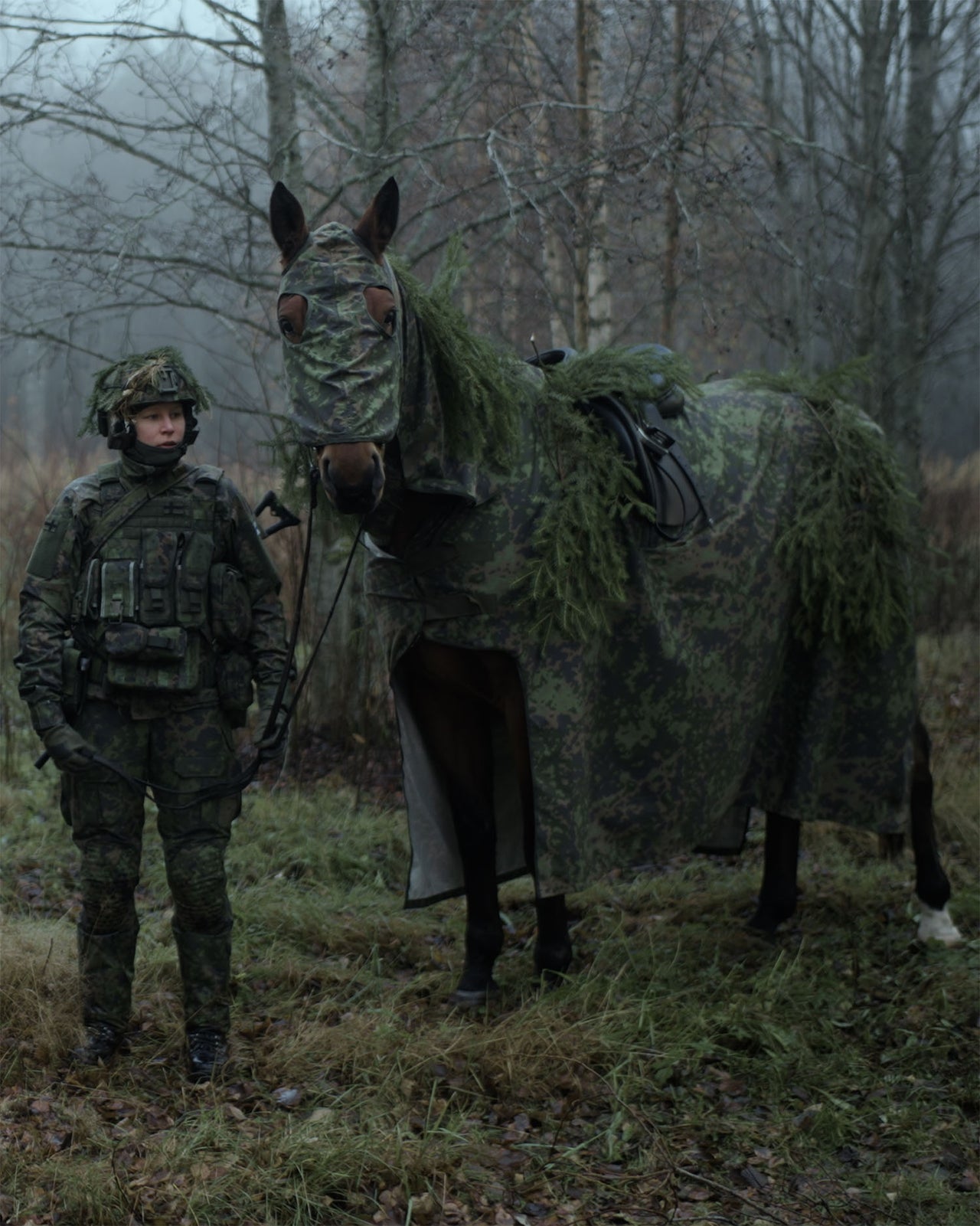 Tactical horse – Savotta